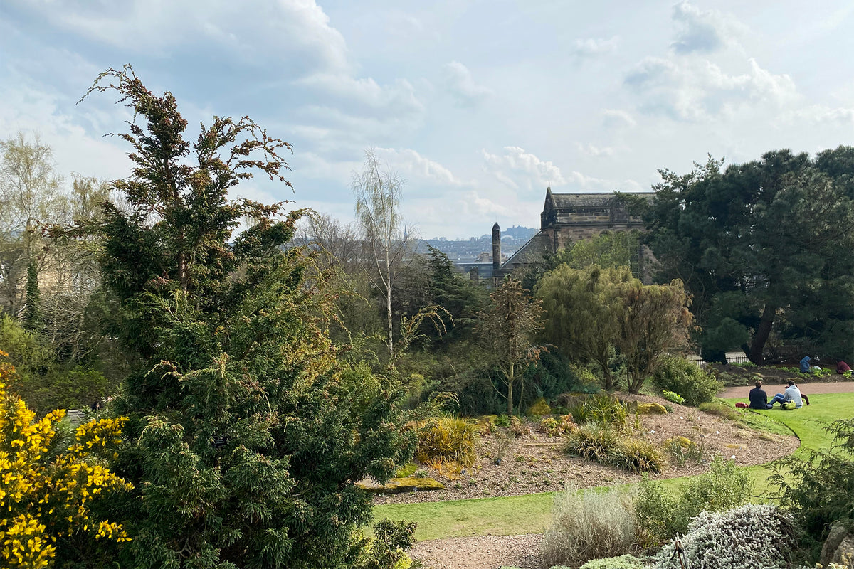 Secret Gardens: The Royal Botanic Garden Edinburgh – Storm Flowers Garden
