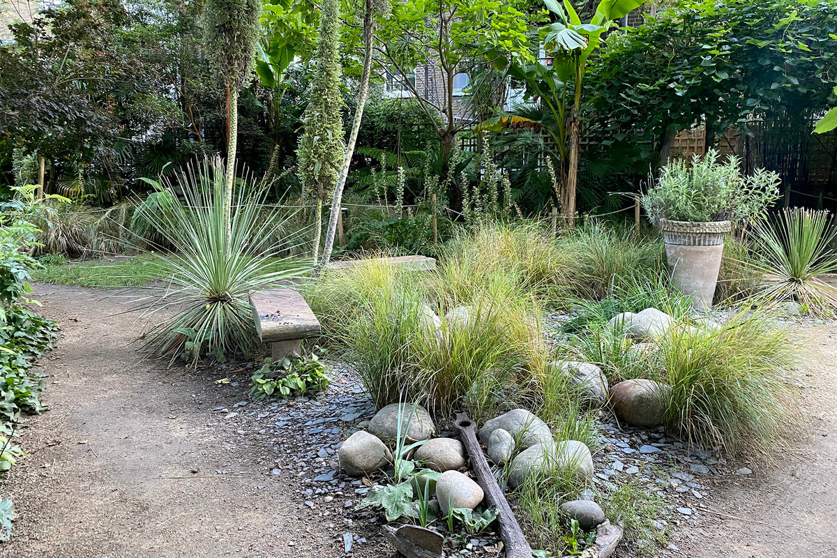 Secret Gardens: Bonnington Square Garden, Vauxhall – Storm Flowers Garden