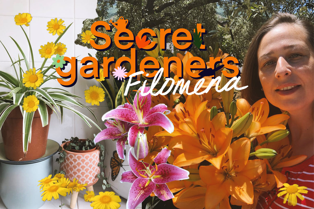 Secret Gardeners: Filomena – Storm Flowers Garden