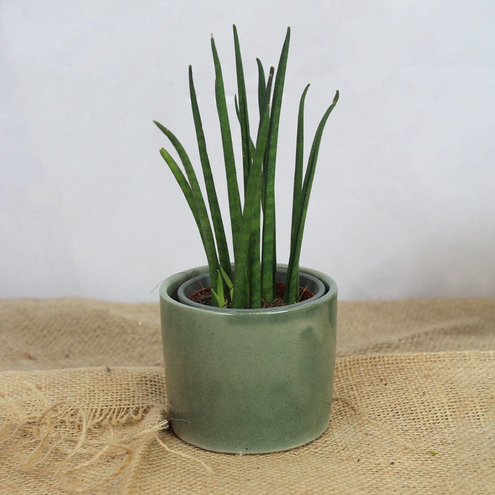 Handmade Mini Ceramic Sage Green Plant Pot – Storm Flowers Garden